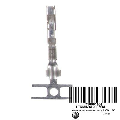 FEMALE TERMINAL – Evinmotors PR